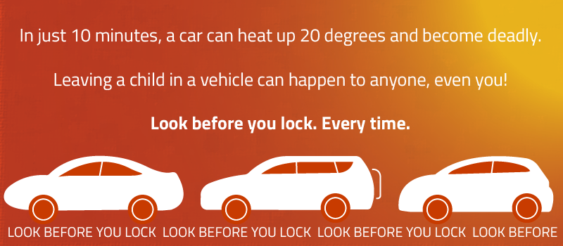 Prevent Vehicular Heatstroke | South Carolina Department of Public Health