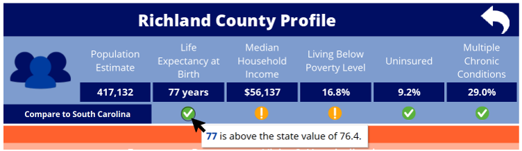 Navigating the County Profiles Dashboard | South Carolina Department of ...